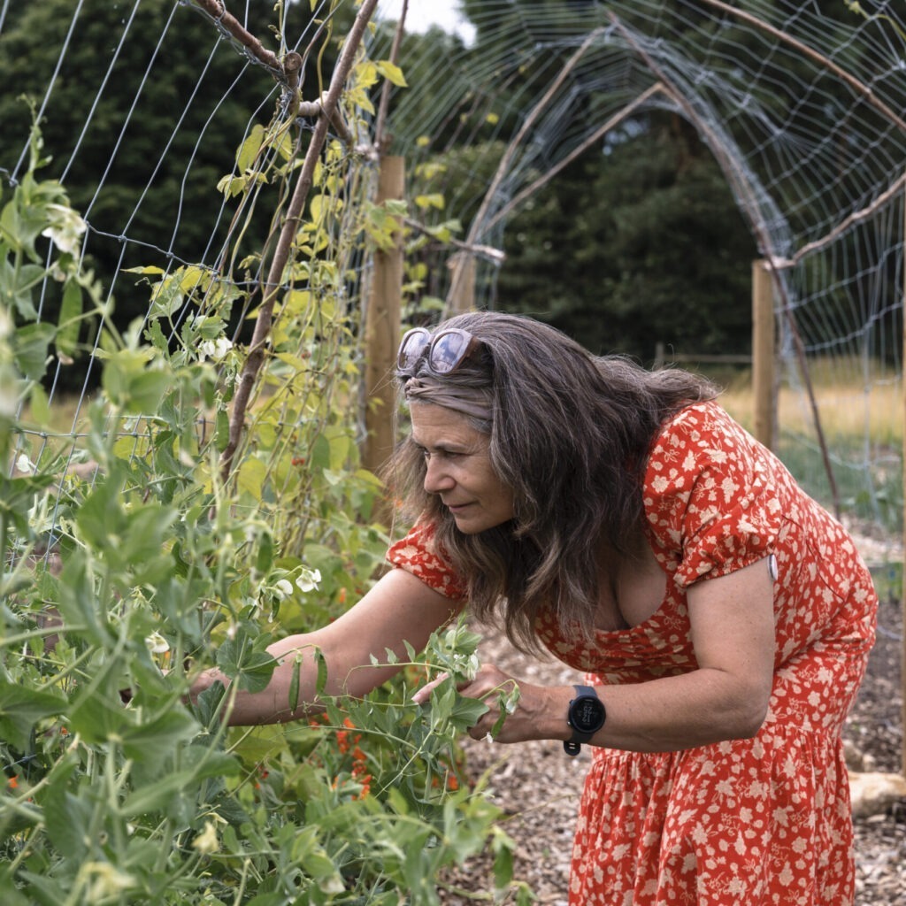 Preparing for Surgery Programme